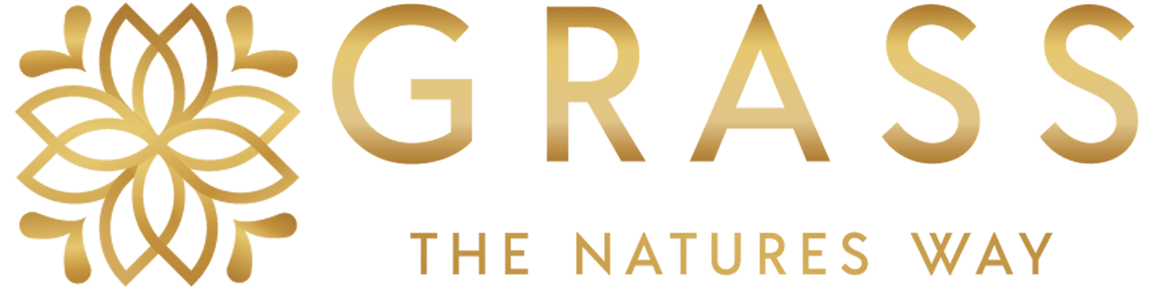 GRASS : Discover the Next-Gen skincare Products| Shop Now!